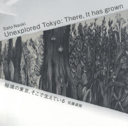 佐藤直樹／著本詳しい納期他、ご注文時はご利用案内・返品のページをご確認ください出版社名東京キララ社出版年月2017年05月サイズ159P 22×23cmISBNコード9784903883243芸術 絵画・作品集 絵画・作品集その他秘境の東京...