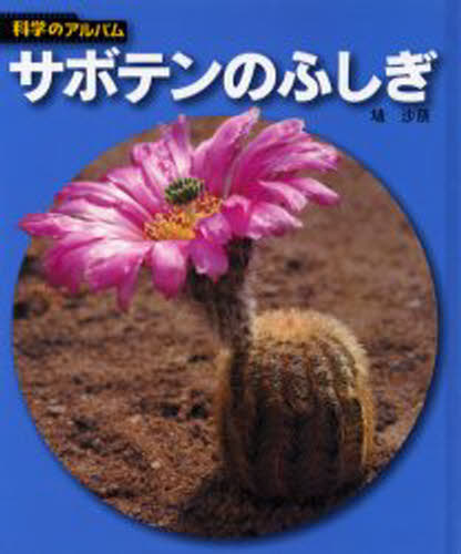 埴沙萠／著科学のアルバム 植物8本詳しい納期他、ご注文時はご利用案内・返品のページをご確認ください出版社名あかね書房出版年月2005年04月サイズ52P 23cmISBNコード9784251033444児童 学習 学習その他サボテンのふしぎ...