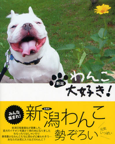 本詳しい納期他、ご注文時はご利用案内・返品のページをご確認ください出版社名新潟日報メディ出版年月2009年12月サイズ211P 19cmISBNコード9784861323706教養 ライトエッセイ 動物エッセイ新潟わんこ大好き!ニイガタ ワ...