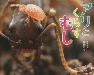 島田たく／写真・文ふしぎいっぱい写真絵本 26本詳しい納期他、ご注文時はご利用案内・返品のページをご確認ください出版社名ポプラ社出版年月2015年04月サイズ36P 21×27cmISBNコード9784591144701児童 創作絵本 写真...