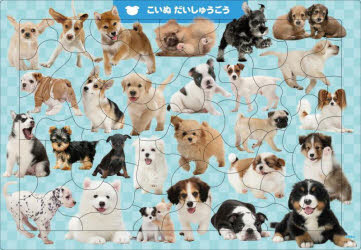 頭のいい子を育むジグソー知育パズル本詳しい納期他、ご注文時はご利用案内・返品のページをご確認ください出版社名永岡書店出版年月2025年09月サイズISBNコード9784522804841児童 入門・あそび パズル・迷路C06 こいぬだいしゅ...