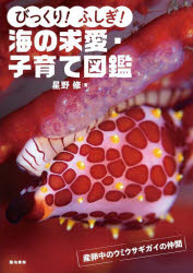 星野修／著本詳しい納期他、ご注文時はご利用案内・返品のページをご確認ください出版社名築地書館出版年月2023年06月サイズ143P 21cmISBNコード9784806716488趣味 アウトドア フィールド図鑑びっくり!ふしぎ!海の求愛・...