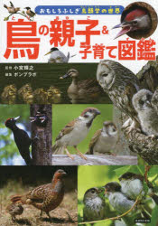 小宮輝之／監修 ポンプラボ／編集おもしろふしぎ鳥類学の世界本詳しい納期他、ご注文時はご利用案内・返品のページをご確認ください出版社名カンゼン出版年月2023年11月サイズ157P 21cmISBNコード9784862557018趣味 アウト...
