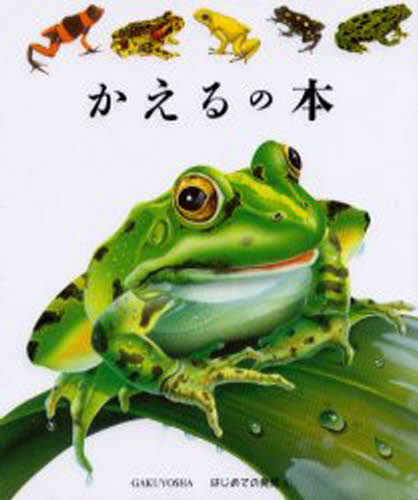 ダニエル・モアノ／原案・制作 ガリマール・ジュネス社／原案・制作 ダニエル・モアノ／絵 手塚千史／訳はじめての発見 6本詳しい納期他、ご注文時はご利用案内・返品のページをご確認ください出版社名岳陽舎出版年月2000年06月サイズ1冊 19c...