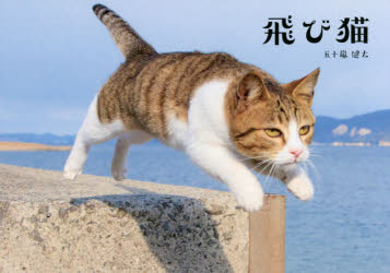 五十嵐健太／著本詳しい納期他、ご注文時はご利用案内・返品のページをご確認ください出版社名KADOKAWA出版年月2015年03月サイズ95P 15×21cmISBNコード9784047317314芸術 アート写真集 ペット写真集飛び猫トビネ...