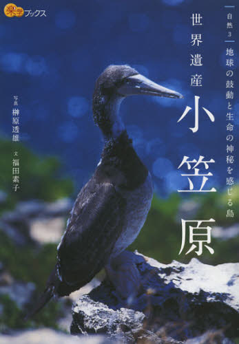 榊原透雄／写真 福田素子／文楽学ブックス 自然 3本詳しい納期他、ご注文時はご利用案内・返品のページをご確認ください出版社名JTBパブリッシング出版年月2012年10月サイズ143P 21cmISBNコード9784533087547地図・ガ...