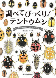 盛口満／文・絵本詳しい納期他、ご注文時はご利用案内・返品のページをご確認ください出版社名少年写真新聞社出版年月2023年06月サイズ63P 27cmISBNコード9784879817723児童 学習 動物・植物・魚・虫調べてびっくり!テント...