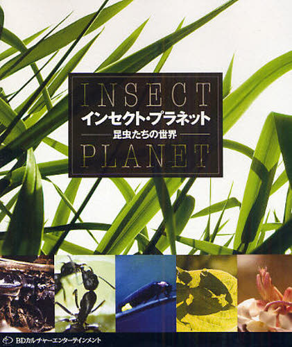 BDカルチャーエンターテインメントその他詳しい納期他、ご注文時はご利用案内・返品のページをご確認ください出版社名ワック出版年月サイズISBNコード9784898318034趣味 ホビー その他MM商品BD インセクト・プラネットブル-レイ ...