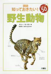 サリー・モーガン／著 Babel Corporation／訳出協力Rikuyosha Children ＆ YA Books本詳しい納期他、ご注文時はご利用案内・返品のページをご確認ください出版社名六耀社出版年月2017年01月サイズ56P...