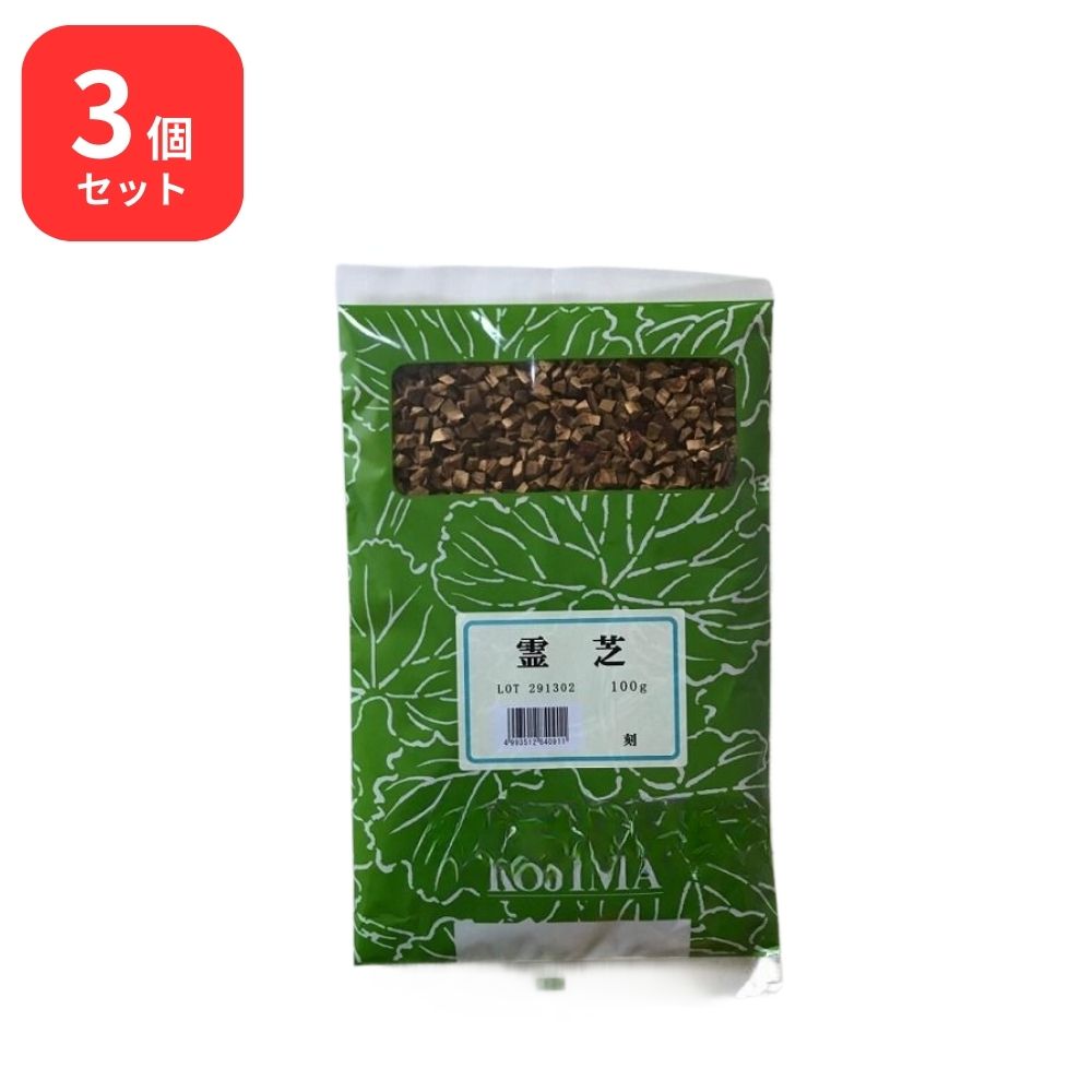 容量 100gメーカー 株式会社　小島漢方区分 中国産　食品
