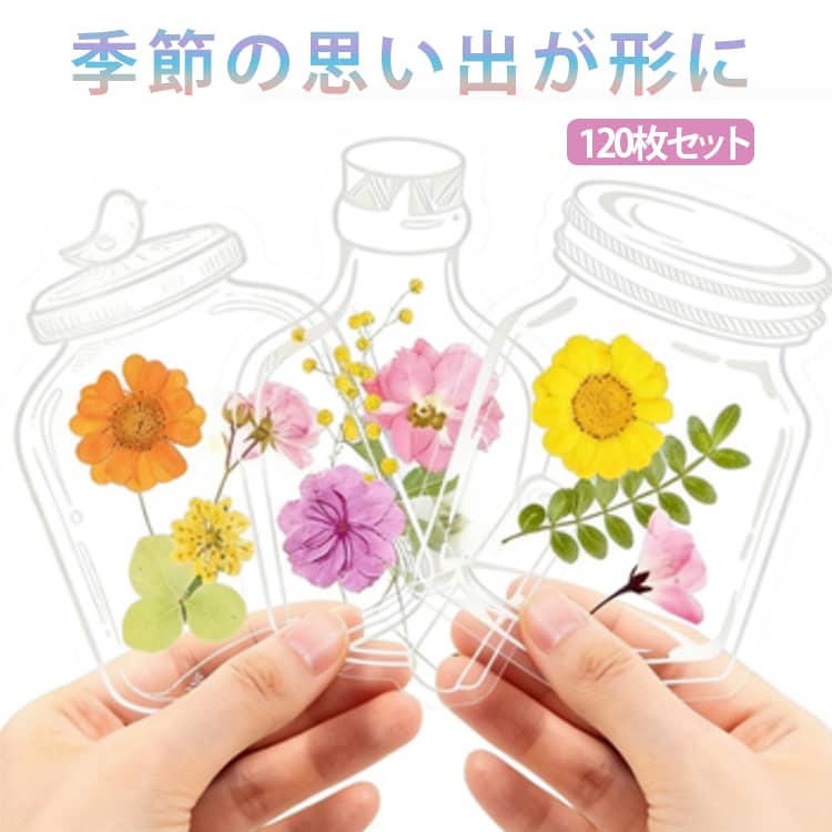 春をそのまま閉じ込めたオリジナルしおりが作れるDIYドライフラワーのしおりです。透明感あふれるボトル型デザインで、お気に入りの写真、ステッカー、ドライフラワーなどを挟んで色々なアレンジが楽しめます。たっぷり使える120枚入りで、DIYやハン...
