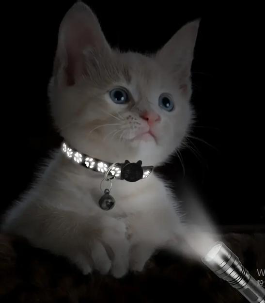 商品情報特徴反射板つき柄肉球ストレート色黒、ピンク、赤、ライトブルー、ライトグリーン、オレンジ、紫、青ネコ用 カラー 首輪 かわいい足跡 ベル付き 反射猫用 カラー2個セット 耐久性 ポリエステル製 ブレークアウェイ 安全ネックレス 肉球 ...