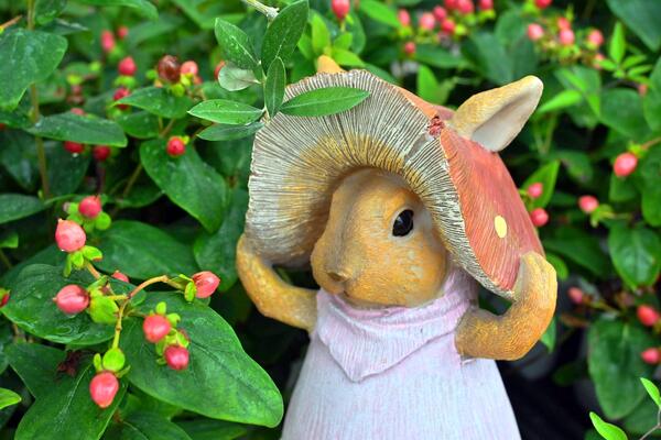 きのこの帽子をかぶったうさぎの置物です。 可愛い置物なので、プレゼントやお祝いにピッタリです。 お庭や玄関先はもちろん、お部屋にも置けます。 つぶらな瞳のうさぎに癒されますよ。 ちょっと人見知りのうさぎのナホちゃん。 お気に入りのキノコ帽子...