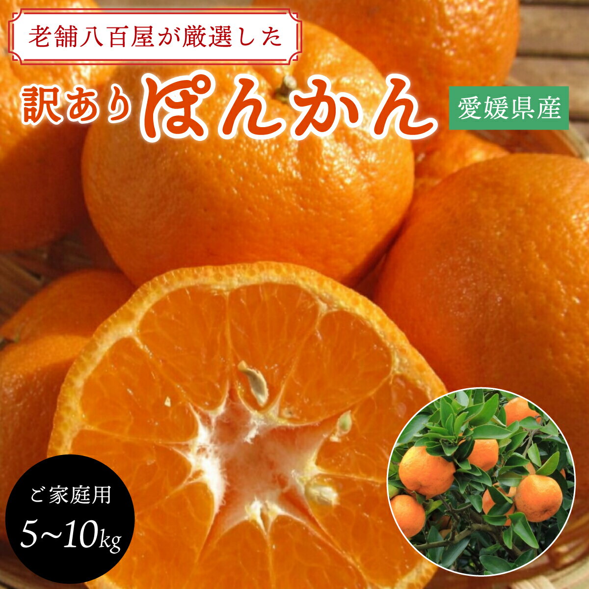 ぽんかん 訳あり 5kg 10kg ポンカン 愛媛県産 サイズお任せ スレ 汚れ 黒点あり ぽんかん 訳あり 5kg 10kg ポンカン 愛媛県産 スレ 汚れ 黒点あり 【商品説明】愛媛県産の訳ありぽんかんです。サイズお任せ、大きさ混合、す...