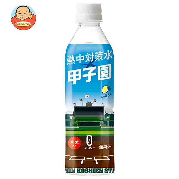 JANコード:4901291091301 原材料 塩(国内製造)、L-カルニチンL-酒石酸塩、海水(海洋深層水)ミネラル/酸味料、硫酸マグネシウム、香料、塩化カリウム、甘味料(アセスルファムK、スクラロース)、ナイアシン 栄養成分 (500...