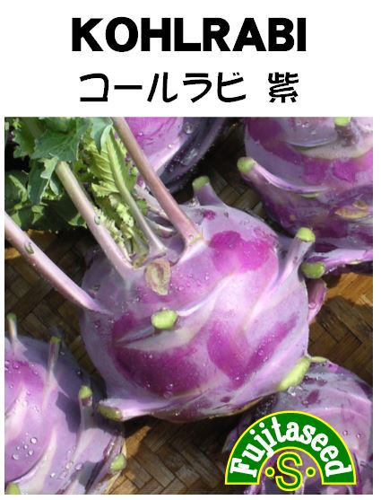 メーカー：藤田種子 【特徴】 ○和名を球茎甘藍といい、根元に近い茎の一部が株のように肥大した部分を利用します。 ○中身は白く、クセが無いのでサラダや漬物、スープ、炒めもの、煮物と色々な調理に利用できます。 【播種適期】3月 〜 9月