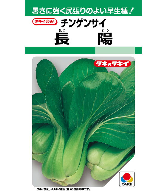 暑さに強い早生種 メーカー：タキイ種苗 【特性】 ○耐暑性に優れ高温期の栽培に適する、栽培容易な早生種です。 ○葉は濃緑色で倒卵形。葉柄は肉厚で光沢があり、特に尻張りが良好でチンゲンサイ本来のボリューム感があります。 ○草姿は立性で、株はコ...