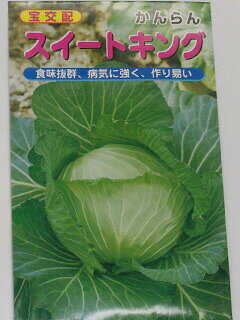 【特長】 1）萎黄病に抵抗性で黒腐病にも非常に強い。 2）玉は明るい緑色の準春系でやや扁平球にて良くしまり、揃いが良く箱詰めが容易。 3）生育が良く揃うため密植栽培が出来、一斉収穫が出来る。 【適作型】 1）冷涼地：8月下旬〜10月出荷 2...