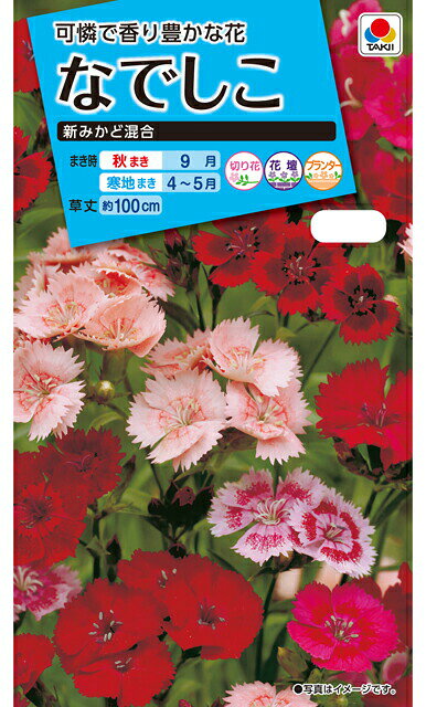 香りのよい可憐な切花を・・・ 【まき時期】 秋まき：9〜10月 春まき：4〜5月 【特徴】 カーネーションの茎に石竹の花を咲かせたような草姿をもち、 緋赤、紅赤、鮭肉などの花色があり、茎の頂上に数輪つけます。 芳香があり、花もちが良い品種で...