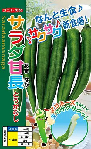 メーカー：ナント種苗 【特性】 ・草姿は立性、葉は濃緑で中葉。節間短く、分枝が多い。 ・果実は濃緑の長円錐形。収穫サイズは果長10cm、果径2cm、果重15g位。 ・肉厚で食感良く甘味がある。用途は広く生食・炒め物・焼き物などに適し、ししと...