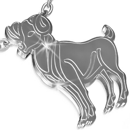 星座をモチーフにしたペンダントトップ。素材にステンレスを使っているので傷つきにくく、アクティブに使ってもOK！その上医療用ステンレスなのでアレルギーも安心です。シルバー925に比べて、価格も手頃で、高級感を発揮できるステンレス製ペンダントト...