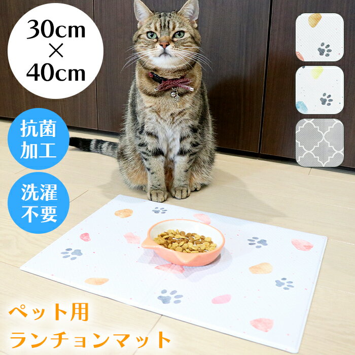 ----------------- 商品詳細 ----------------- サイズ(約)：30×40cm 材質：塩化ビニル樹脂 [ご使用上の注意] 本品は洗濯機でお洗濯できません。 汚れた場合は、水拭きや中性洗剤を含ませた布等で拭き取...