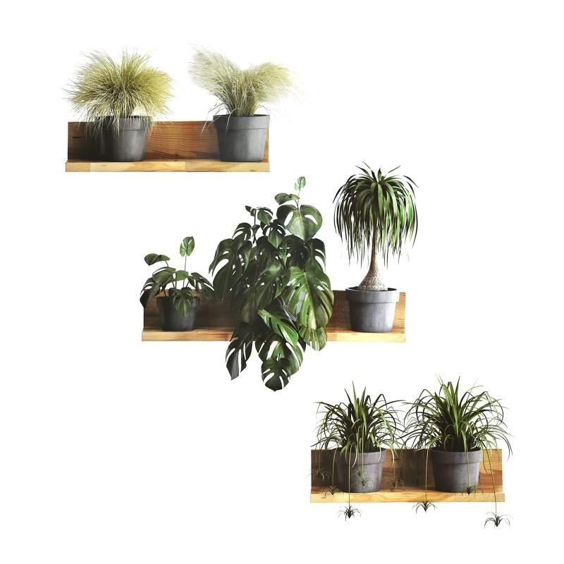 Maydahui ウォールステッカー 植物の棚
