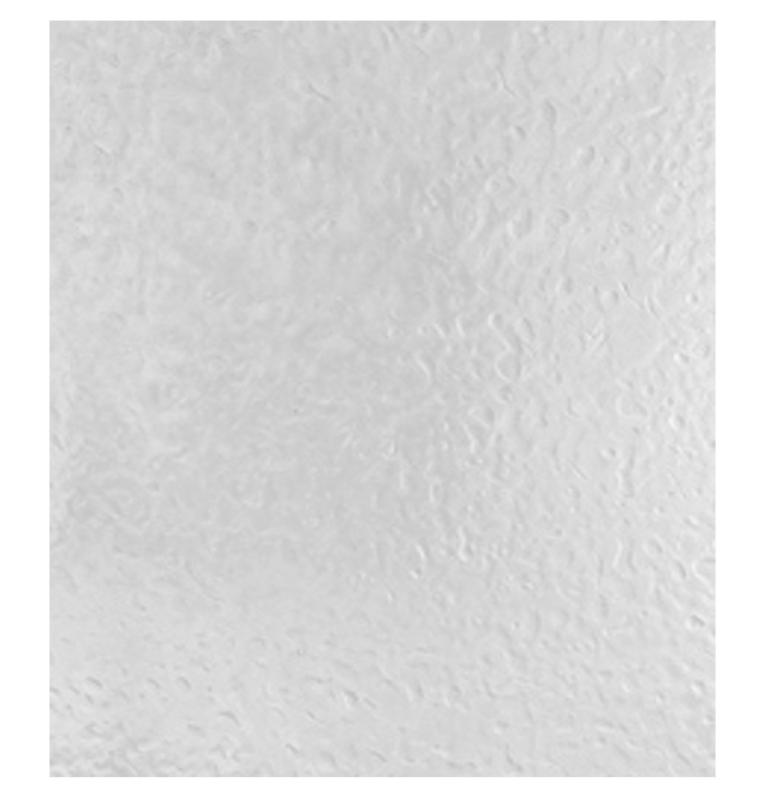 ガラスフィルム 飛散防止効果 琉球ガラス調 幅90×丈46cm ライトブルー GHS-4600サイズ:90×46cm本体重量:0.2kg素材・材質:シート本体 塩化ビニル樹脂100%、保護フィルム ポリエステル樹脂100%商品特長 1:貼る...