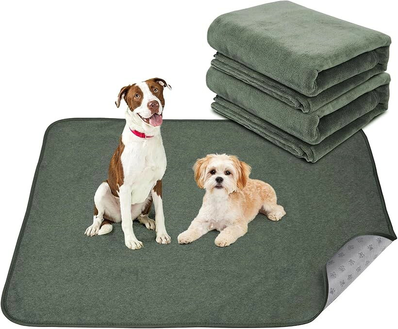 バリエーションコード : 2bj10qikjn商品コード2b9xcsx644商品名洗えるペットシーツ ペットマット おしっこマット ペット用 トイレブランドLOOBANIカラーライトグリーンサイズ等60x90CM「2枚」ライトグリーン「速吸...