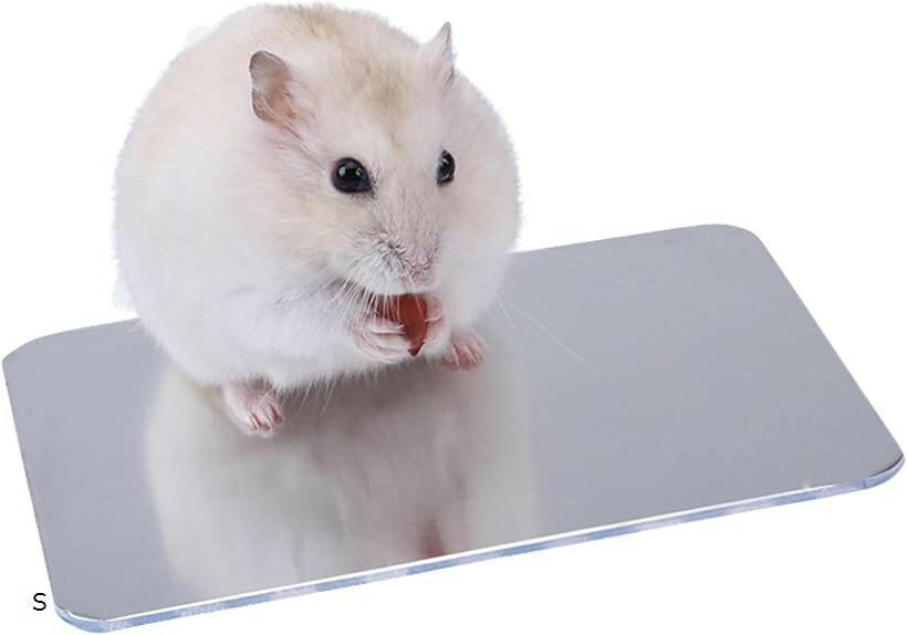 「涼感効果」アルミ素材を使用した物理冷却により、ハムスターや小動物の体温を効果的に下げます。暑い夏でも快適な環境を提供します。「安全性」化学薬品を一切使用せず、自然な冷却効果を発揮するため、ペットにとって安全です。安心して使用できるので、飼...