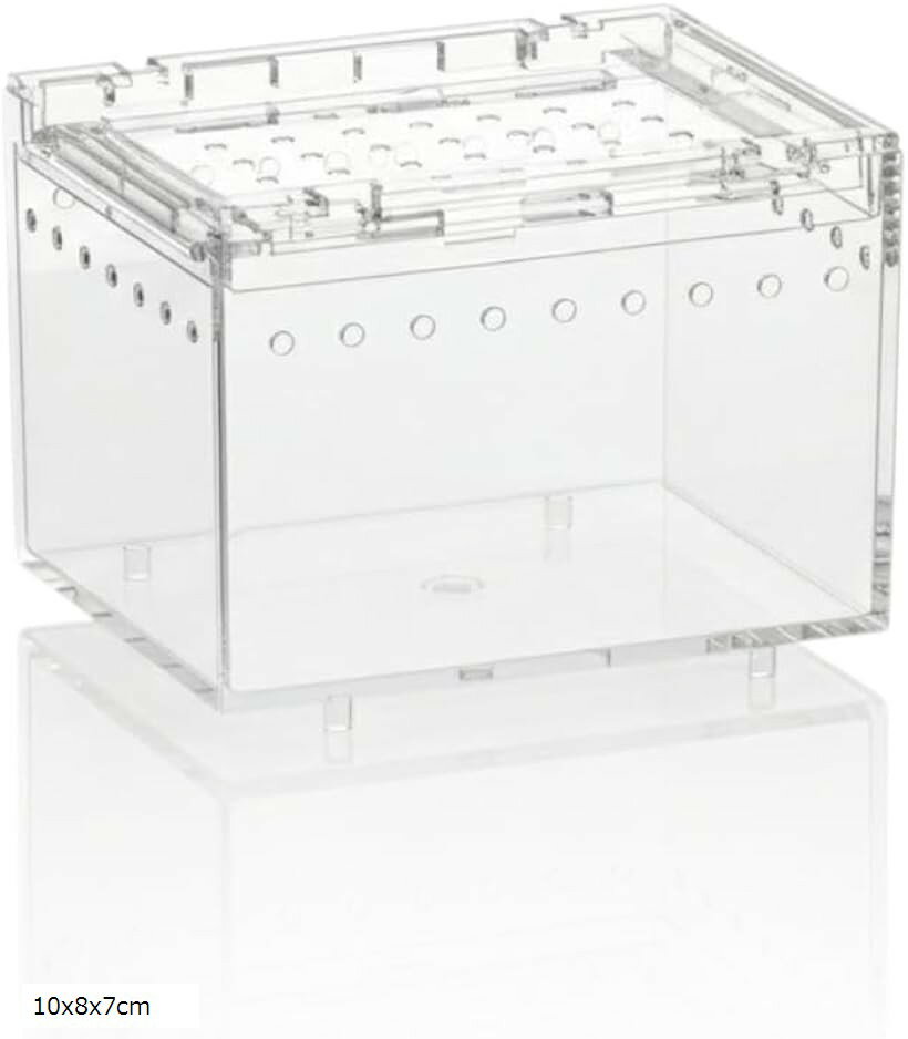 「クリアに観察」透光率約98.5%のアクリルを採用。生体の色味や仕草まで見やすく、観察・記録・撮影がはかどります。アクリル厚は約3mmで、日常の移動や掃除で扱いやすい軽さを保ちながら、歪みにくさにも配慮。卓上や棚上でも扱いやすく、初めての小...