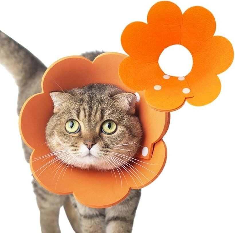 バリエーションコード : 2b9hh9ou0f商品コード2b9hfqqksj商品名エリザベスカラー 猫 ソフト 軽量 犬 柔らかい 傷舐め防止 傷口 保護 可愛いブランドI'm so happyカラーオレンジサイズ等L「進化した機能性とデザ...