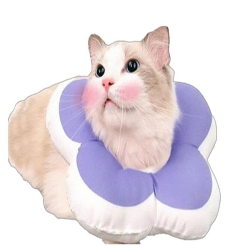バリエーションコード : 2b9qngplv6商品コード2b9qnc11ju商品名エリザベスカラー 選べる4色 猫 犬 ソフト 防水 布 軽量 柔らかい ストレスフリー ドーナツ 傷舐め防止 引っ掻き防止 去勢手術 猫用 犬用 No13ブラ...