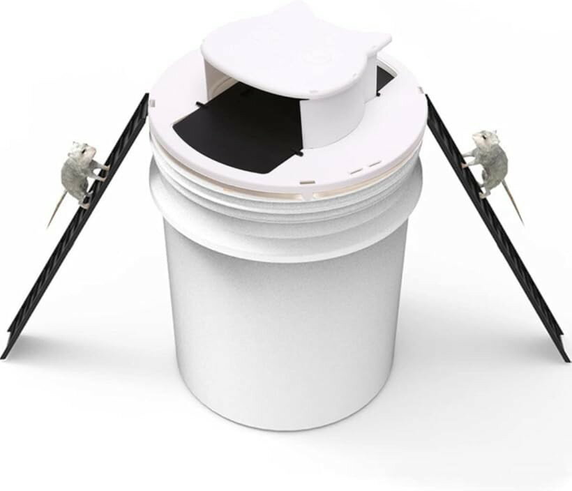 バリエーションコード : 2b4gvo3pqj商品コード2b4gvvff9v商品名ネズミ捕り ネズミ捕獲器 ネズミ 駆除 ホワイトブランドRimikuruカラーホワイト・3カラーから選べる2箇所のハシゴと2つのペダルからネズミを捕獲できる：...