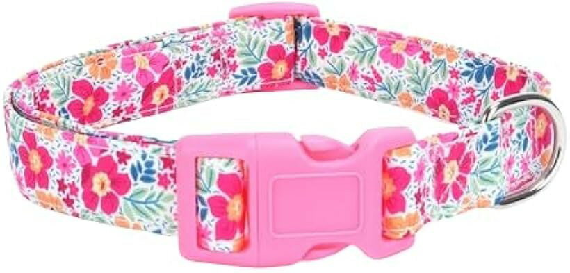 バリエーションコード : 2bjq1l4fwy商品コード2bjq1cx036商品名小型犬用 花柄首輪 ピンクブランドGenericカラーピンク小型犬用の首輪で花柄模様です。ピンク、スカイブルー、オレンジ、グリーン、マリーンブルーの5色用意し...