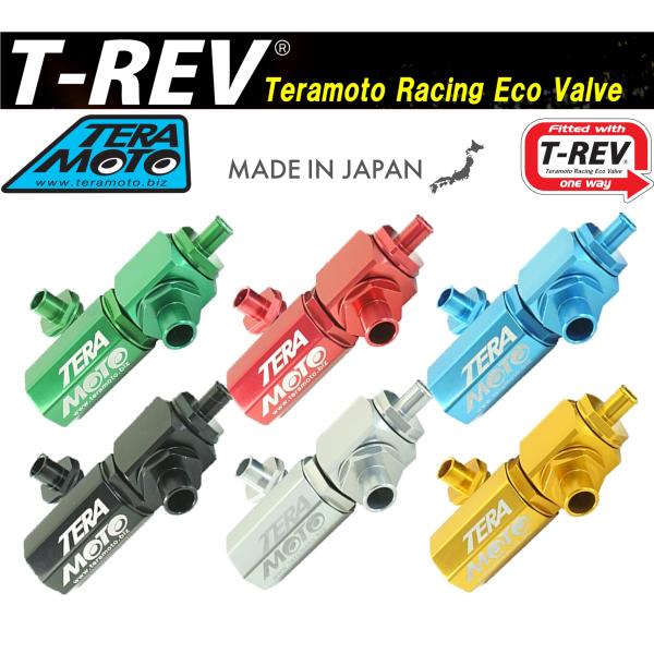 TERAMOTO【寺本自動車】 T-REVαシステム IS350F GSE31（2GR-FSE） 全6カラー T-REVα1212K10T2-40（グリーン） T-REVα1212K10T2-41（レッド） T-REVα1212K10T2-...
