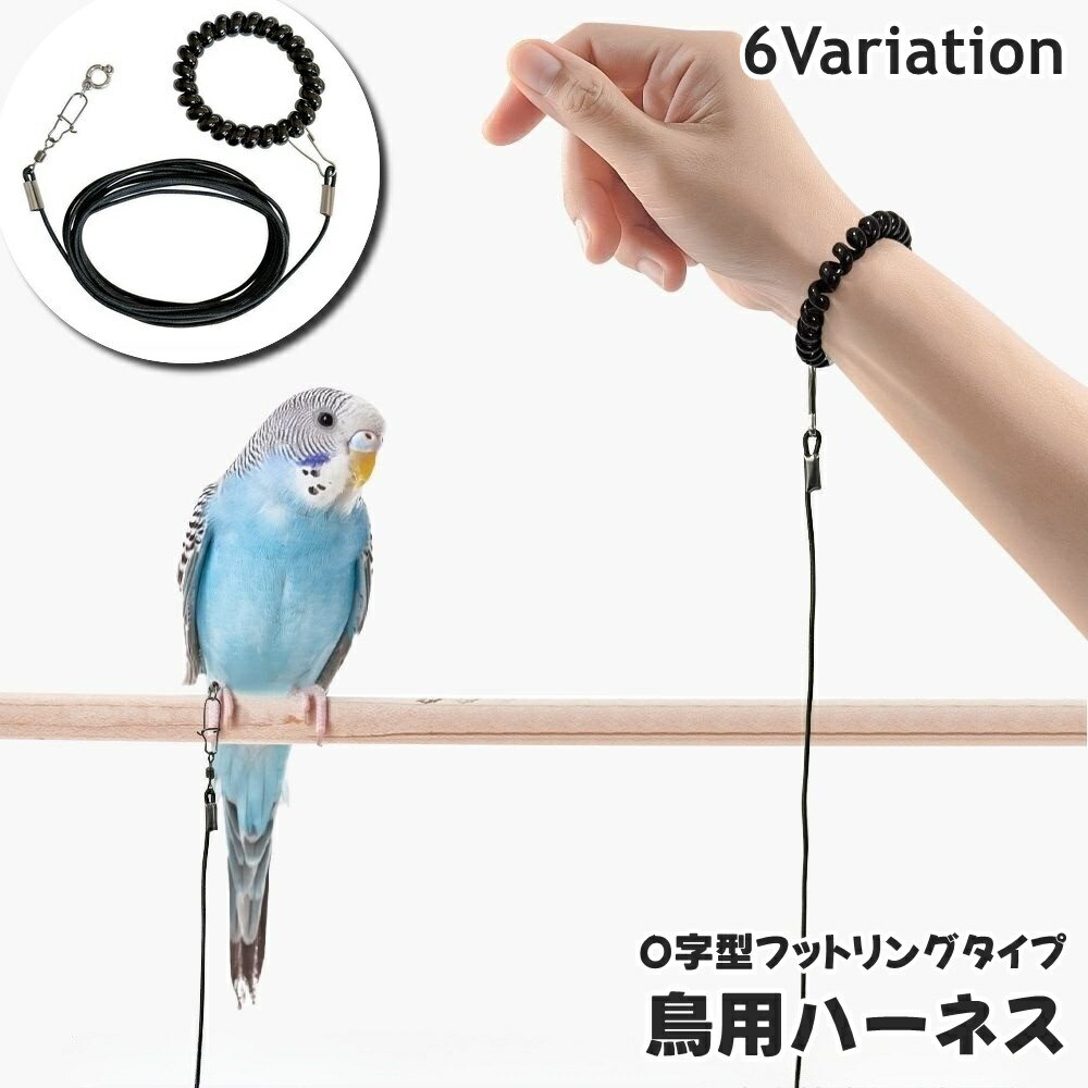 チェーンタイプの鳥用ハーネスです。お散歩や迷子防止用にぴったりのアイテムです♪2m・3mの2タイプからお選びいただけます◎ 【サイズについて】画像をご参照ください。 【カラーについて】生産ロットにより柄の出方や色の濃淡が異なる場合がございま...