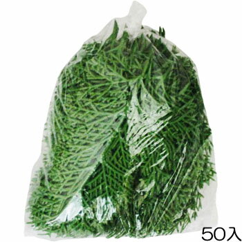 オードブル等に使える料理用装飾です。造花 ヒバ大 DH−92 50入 ヒバ大　造花　料理飾り　仕出し弁当　オードブル　お節　弁当小物 アスナロ 正月やお祝いにピッタリのお料理飾り オードブル等に使える料理用装飾です。 特別な日のごちそうや ...