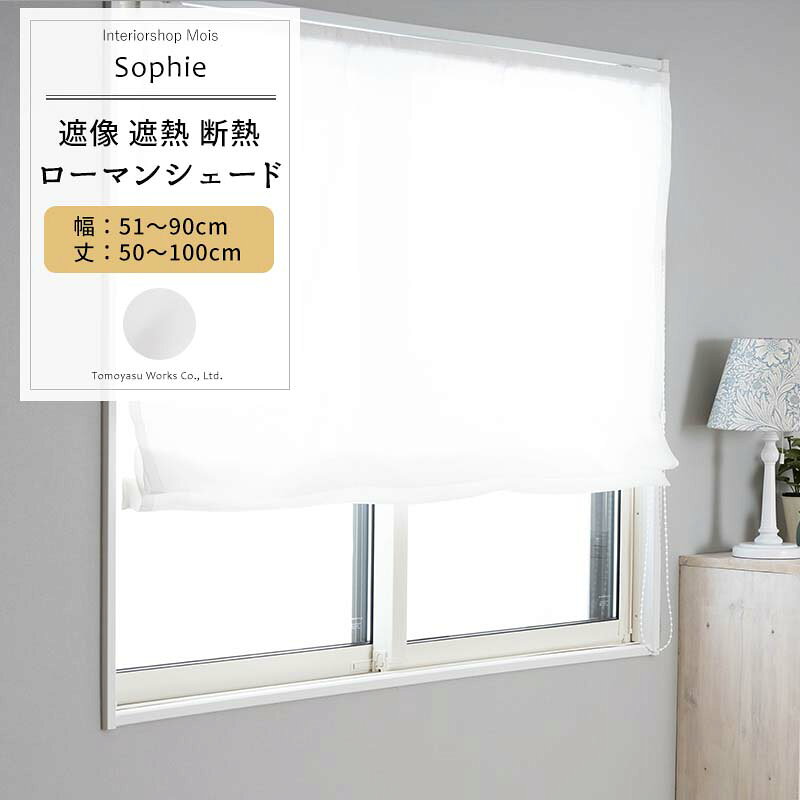 品番 RH232 サイズ 幅51〜90cm 丈50〜100cm 幅継ぎ 〜100cm:なし、〜150cm:1つ、〜200cm:1つ、〜300:2つ 仕様 シングル：ワンチェーンドラム式 素材 ポリエステル100％（サラクール生地） 機能 ウ...