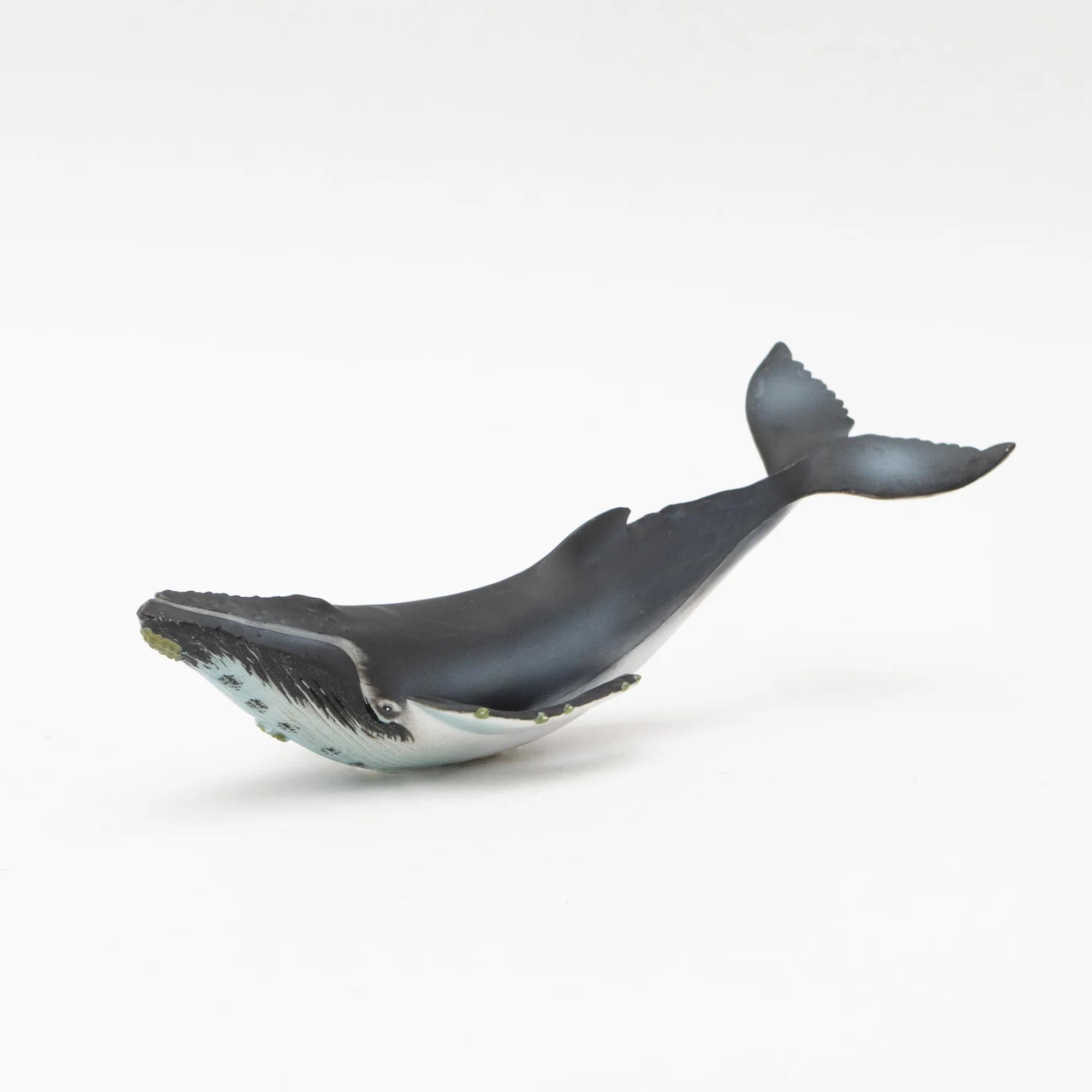 【ダイナソーモデル】シリーズはコチラ 【商品名】 ザトウクジラ ソフトモデル 【仕様】 商品サイズ：L23.7×W8×H7cm / 186g Item CD：70612 【商品説明】 ホエールウォッチングなどで非常に人気の高いザトウクジラの...