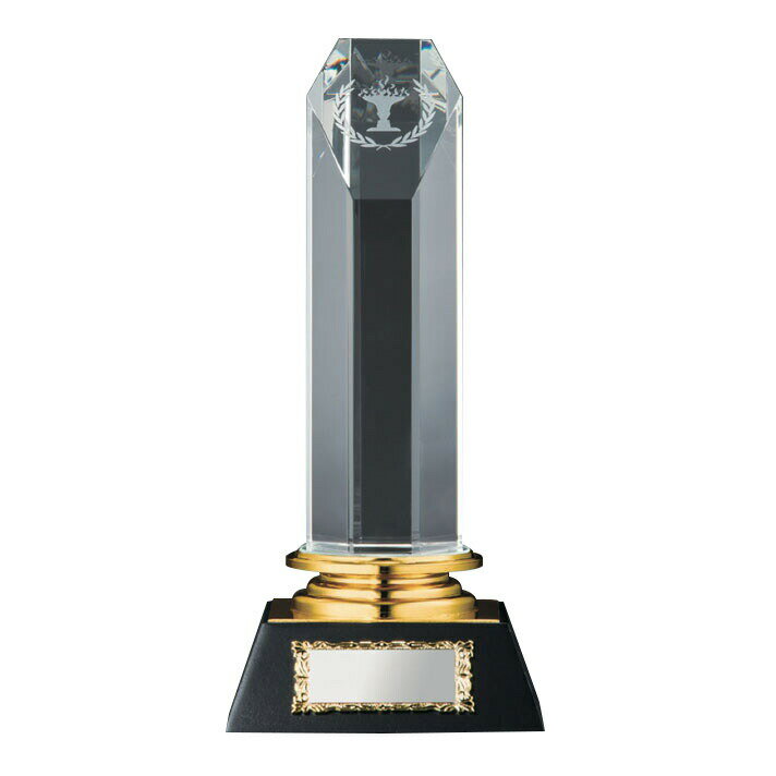 こちらの商品はタイプ：Aのみの販売となります。240（高さ：mm）約1,170（重さ：g）　プレート：25×63光学ガラス・木製台・裏サンドブラスト※光学ガラス製品は1個ずつ手加工の為、製品サイズに若干の誤差があります。 優勝 トロフィー ...