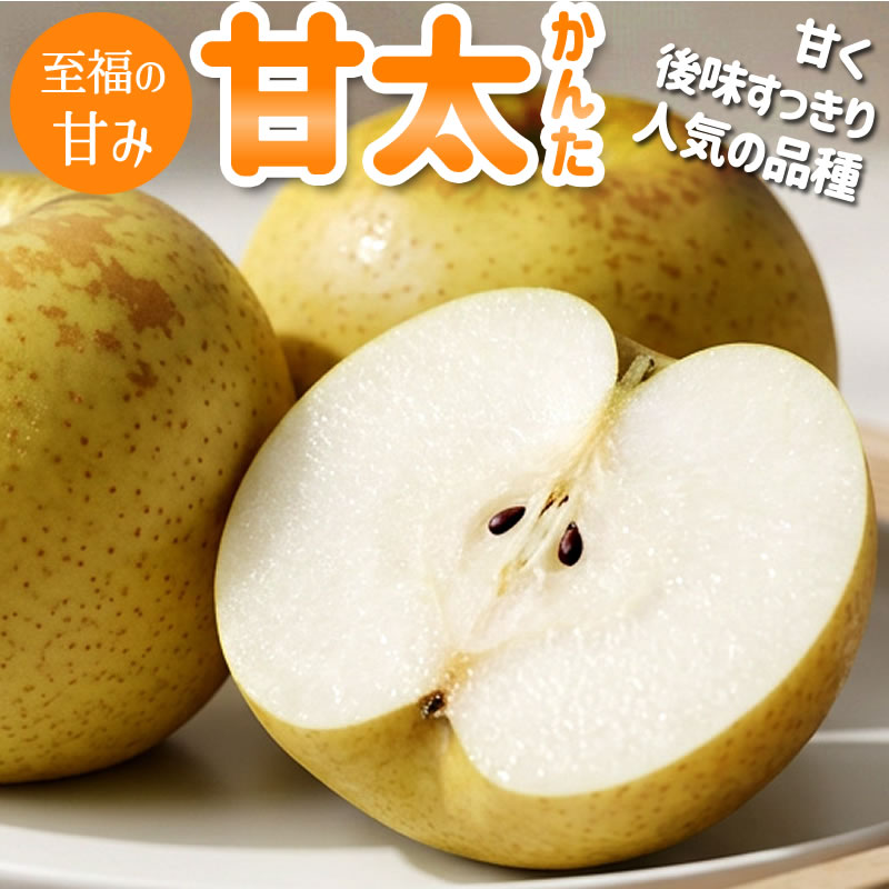 梨 の詳細 名称 梨 内容量 3kg箱(2.8kg～3kg) 5kg箱(4.8kg～5kg) 保存方法 梨は乾燥に弱いのでジッパー付きの袋に入れるかラップして冷蔵庫の野菜室で7日間（できれば5日程度）でお召し上がりください。 備考 本ページ...