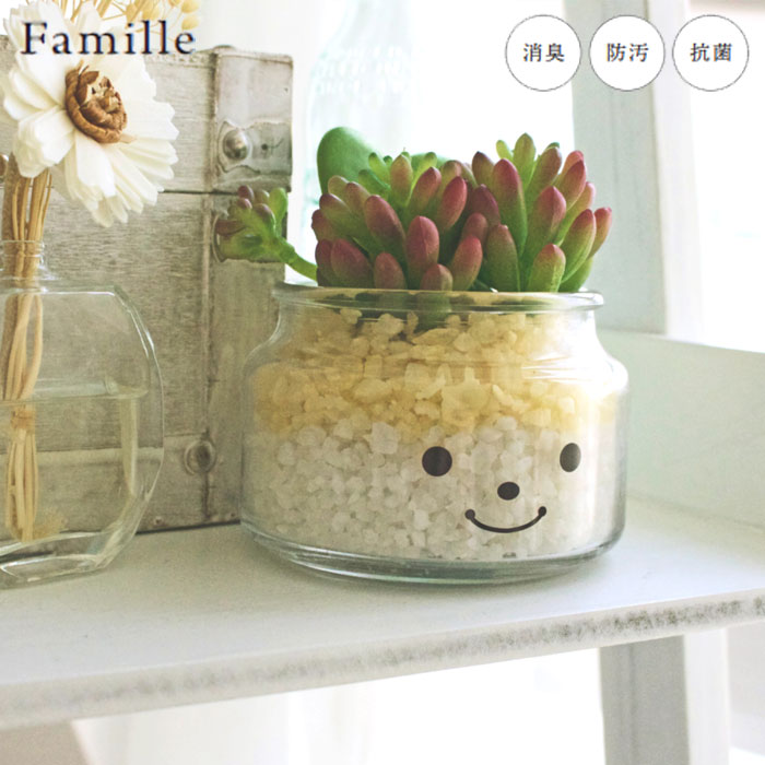 風水＆CT触媒効果の消臭アーティフィシャルグリーン 手のひらサイズで手軽に楽しめるグリーン風水効果と置いておくだけでお部屋の空気をきれいにしてくれる、かわいらしい消臭多肉植物シリーズです。場所によって成長、厄除け、恋愛、関係改善、リラックス...