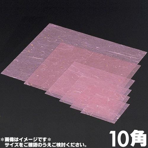 業務用　料理用　演出用品　敷紙メーカーマイン商品外寸(mm)縦100×横100その他表面のラミネート加工面に料理を盛り付けてください。材質・原材料紙、OPPフィルム