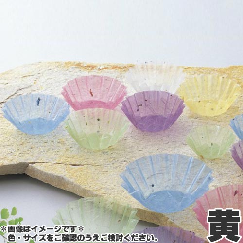 業務用　カップ　フードカップ　グルメカップメーカーマイン商品外寸(mm)径55×高さ20×底径35その他電子レンジ使用不可材質・原材料OPPフィルム、紙