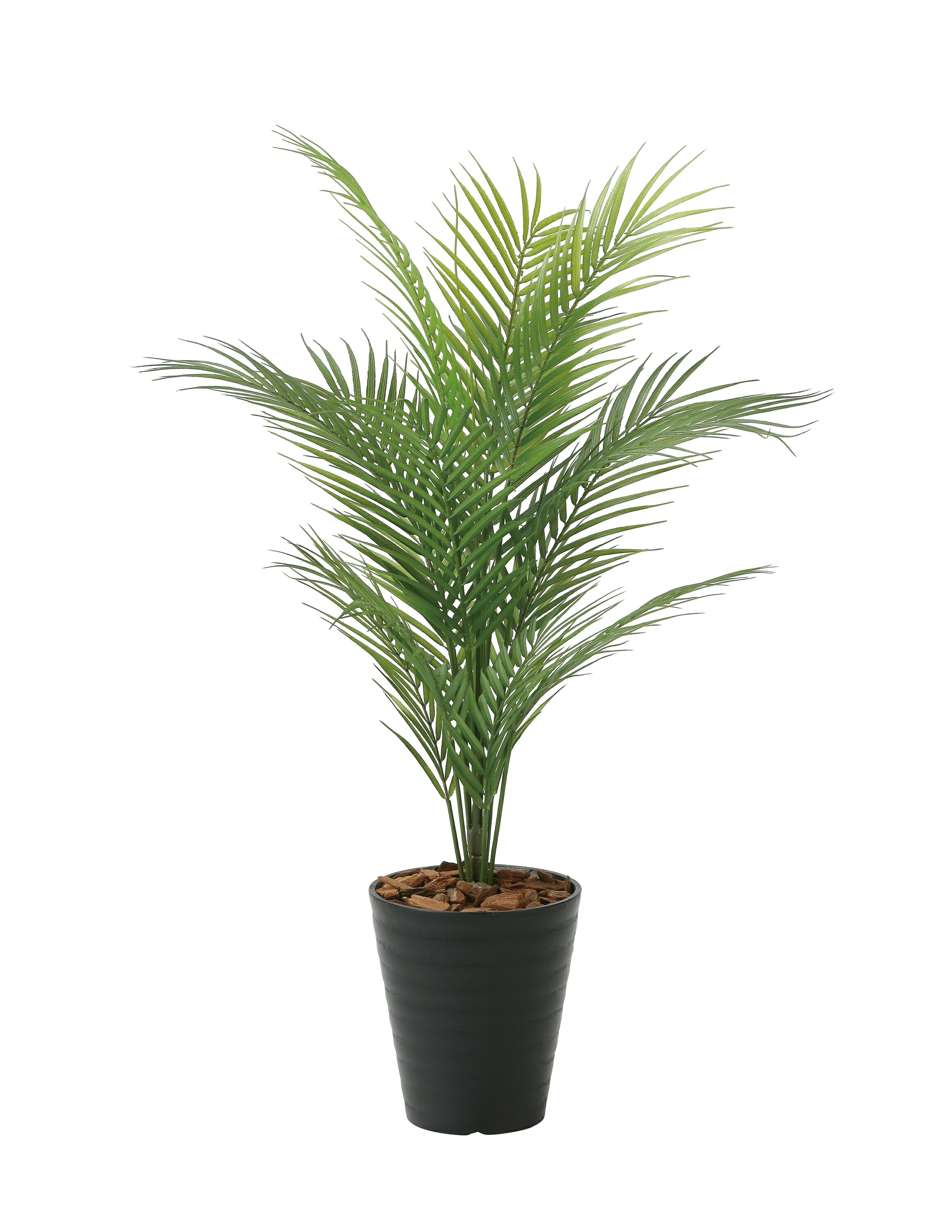 商品詳細 商品サイズ 約幅60×奥行き60×高さ95cm 重量 1.8kg 本体素材 ポリエチレン+スチ-ル 花器素材 ポリプロピレンパームツリー95cm（ポリ製）