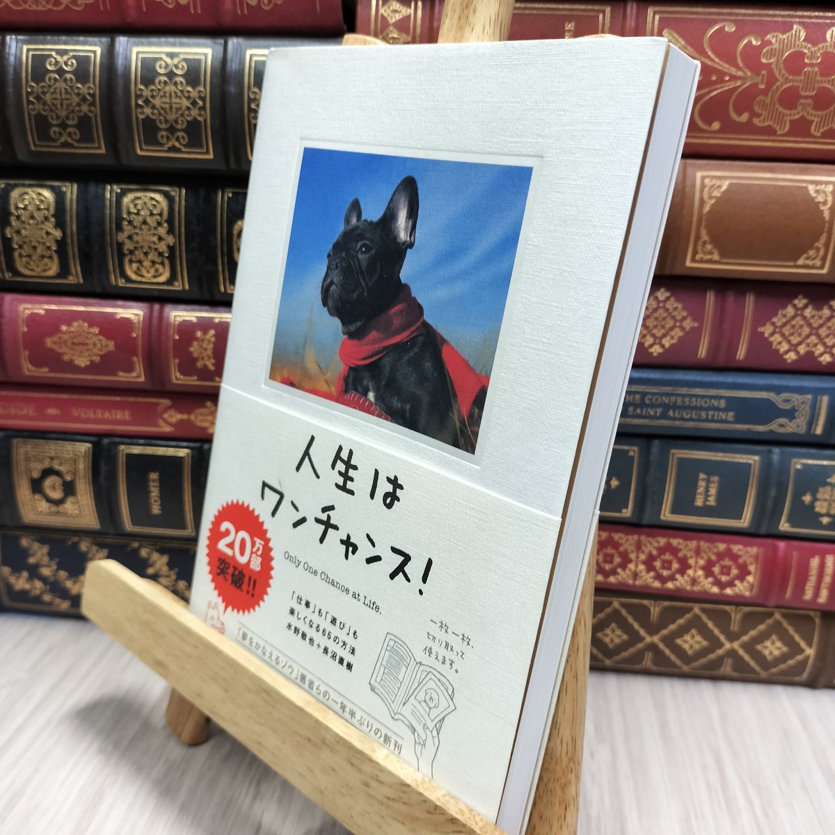 【商品説明】 商品の状態に関しては以下を参考にご検討ください。 【良い】 使用感はありますが、おおむね良好です。 【可】 やや傷や汚れ、ヤケ、折れ、ヨレ、スレなどの使用感がある商品です。 【難あり】 ヤケ・ヨレ・折れ・シミ・汚れ・カバーに一...