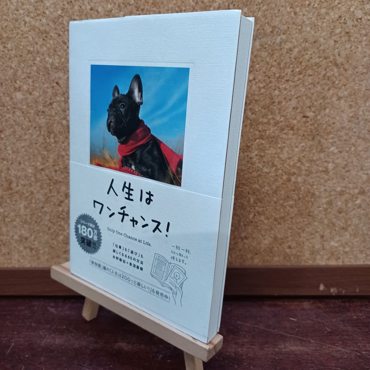 【商品説明】 商品の状態に関しては以下を参考にご検討ください。 【良い】 使用感はありますが、おおむね良好です。 【可】 やや傷や汚れ、ヤケ、折れ、ヨレ、スレなどの使用感がある商品です。 【難あり】 ヤケ・ヨレ・折れ・シミ・汚れ・カバーに一...