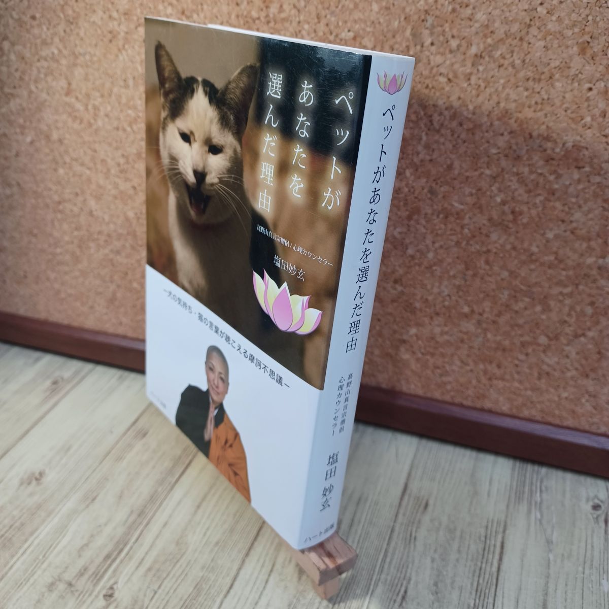 【商品説明】 商品の状態に関しては以下を参考にご検討ください。 【良い】 使用感はありますが、おおむね良好です。 【可】 やや傷や汚れ、ヤケ、折れ、ヨレ、スレなどの使用感がある商品です。 【難あり】 ヤケ・ヨレ・折れ・シミ・汚れ・カバーに一...