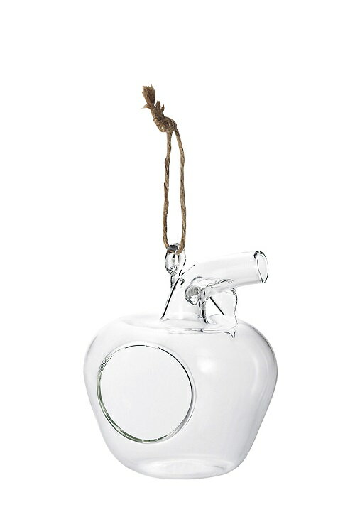 ハンギンググラス リンゴ型 ガラスのフォルムが美しく、吊るしても、置いても使えます。 エアープランツなどを入れてぶら下げれば、 おしゃれなインテリアとなります。 サイズ：Φ10.5×高さ12cm 素材：ガラス製 モニターの発色の具合によって...